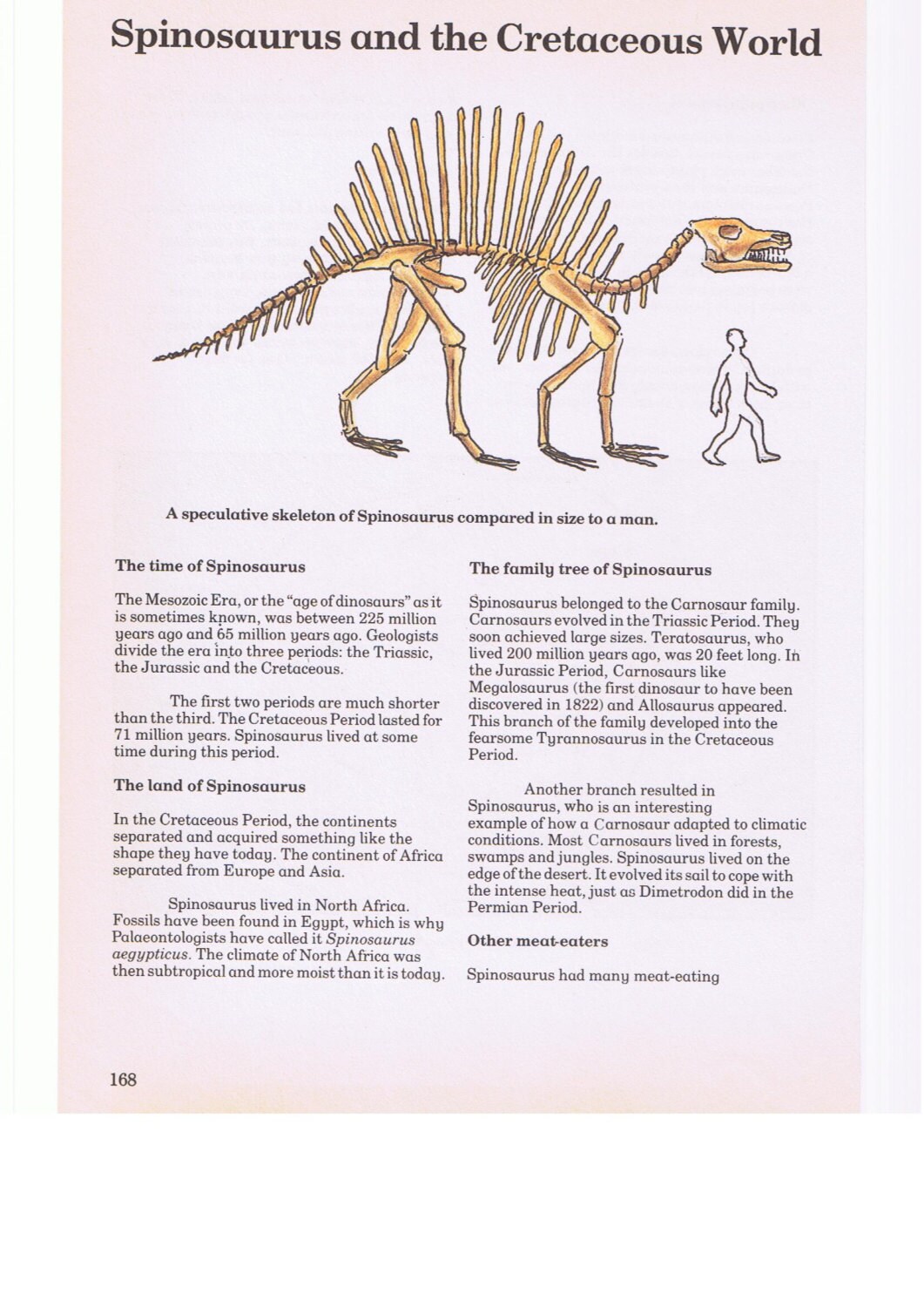 5x DINOSAUR FOSSILS 1980s Childrens Book Dictionary Pages with | Etsy
