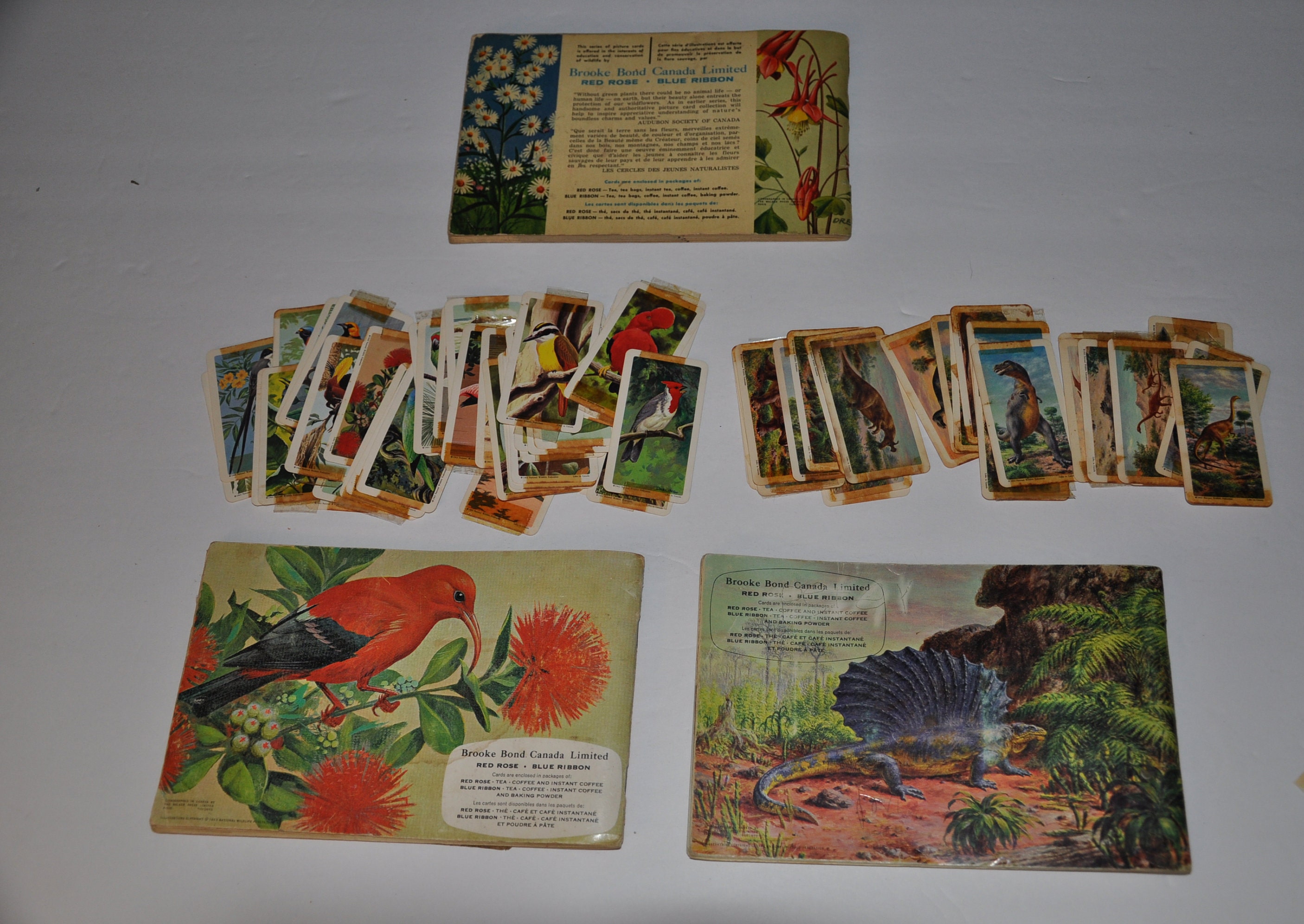 Brooke Bond Albums Plus Vintage 1960s Collectible Cards Lot | Etsy