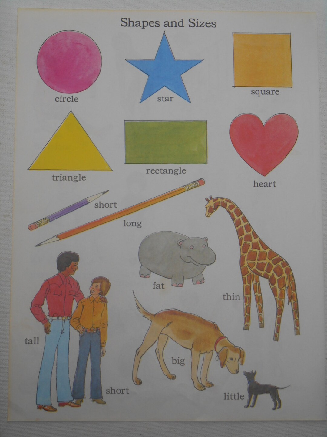 Shapes and Sizes / Opposites 2 Sided Full Page Children's Book ...