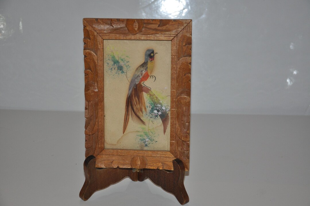 Vintage Feather Art Bird Picture in Vintage Wood Frame With Glass and ...