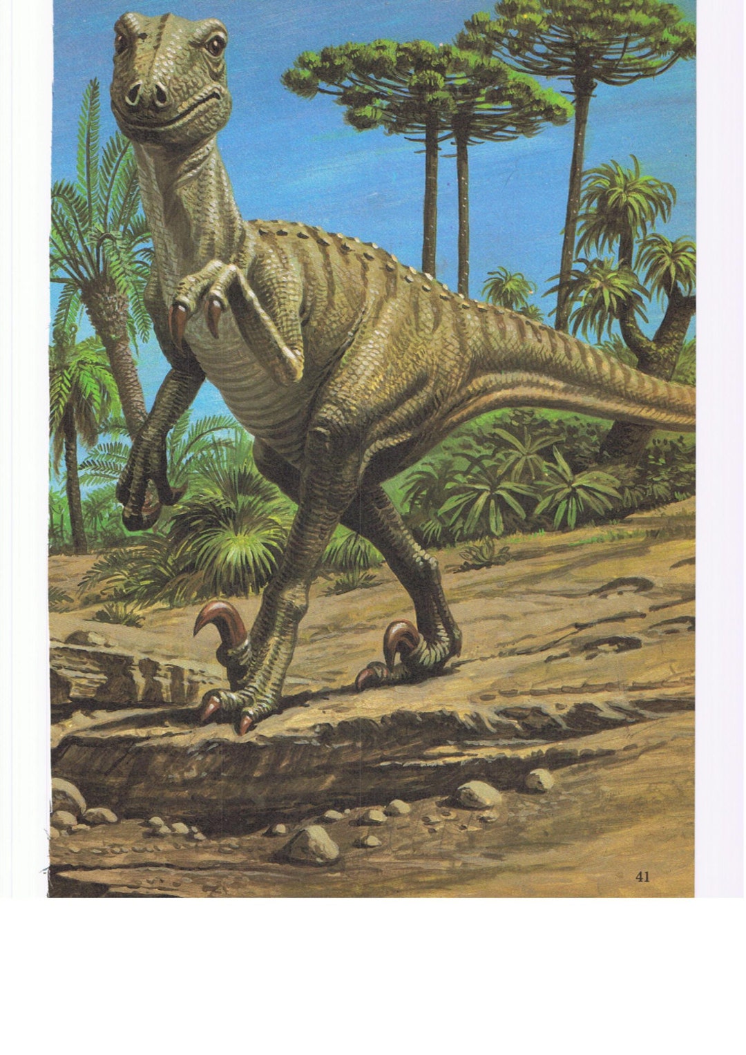 5x DINOSAURS 1980s Childrens Book Illustrations - Etsy