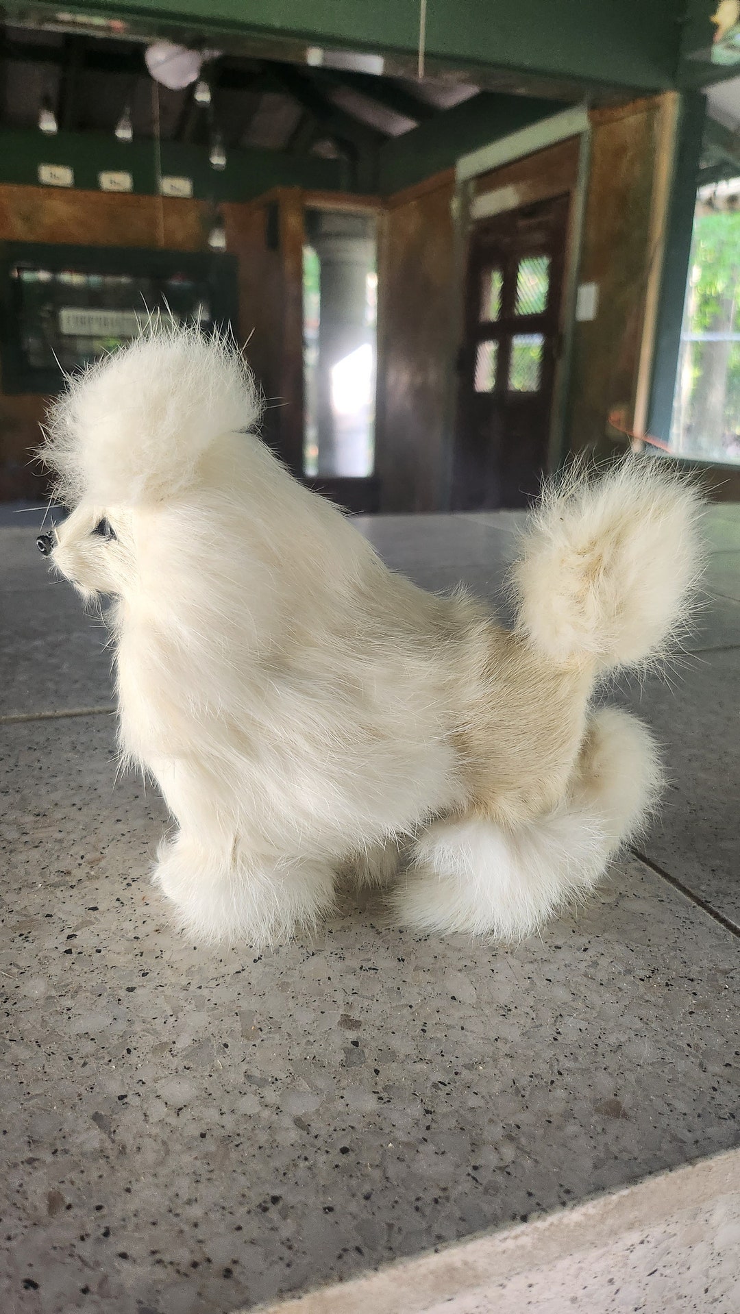 WHITE FUR POODLE Show Cut Style Coat - Etsy