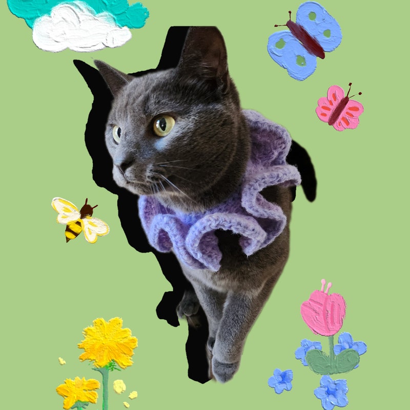 Jester Neck Ruffle - Etsy