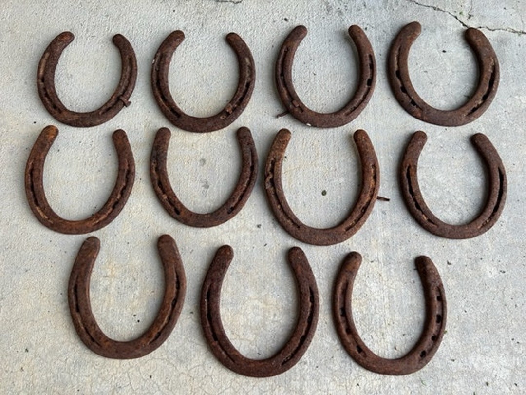 11 Rusty Horse Shoes, Lot of 11 Used Horse Shoes, Rusty Horse Shoes ...