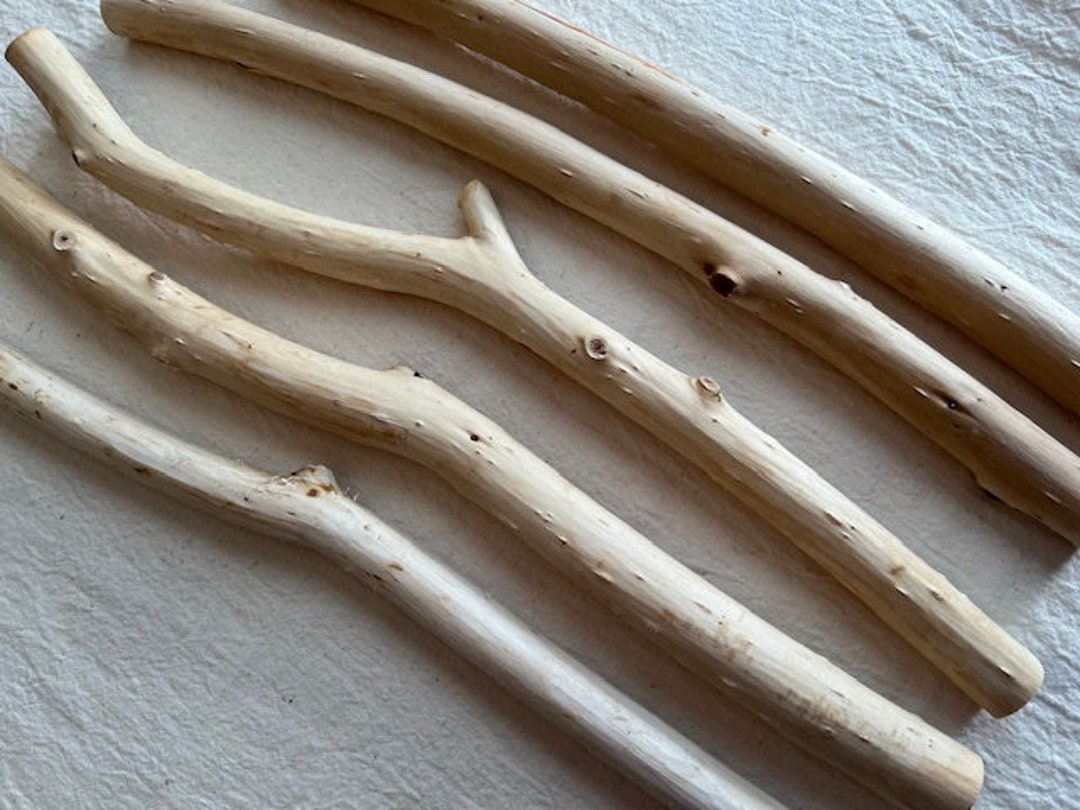 Peeled Thick Willow Branches, (5) Blank Willow Wands, Willow Craft ...