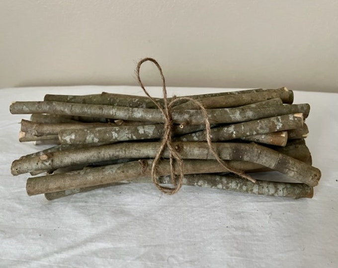 20 Sycamore Branches, Craft Branches, Craft Branch Bundle, Twig Bundle ...
