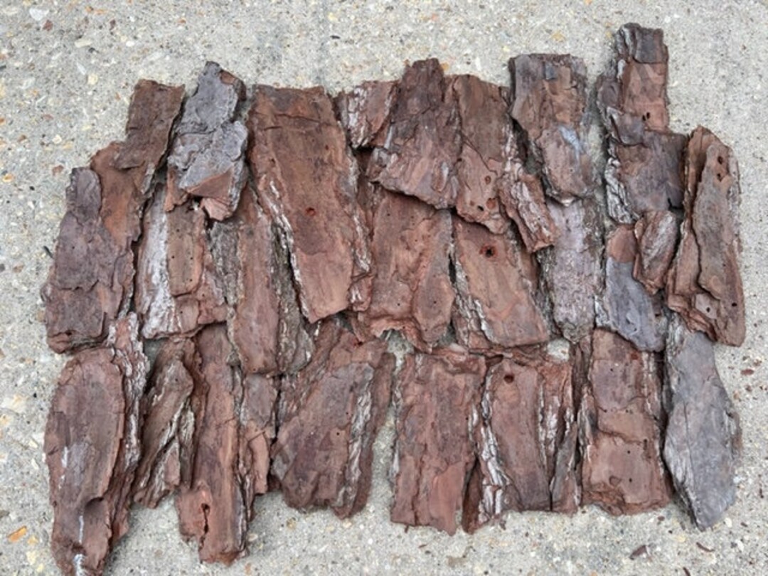 Pine Tree Bark 2 Lbs. Pine Tree Bark Sheets Fairy House - Etsy