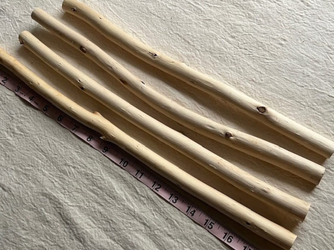 Peeled Thick Willow Branches, (4) Blank Willow Wands, Willow Craft Branch, Willow Carving ...