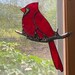Commercial Use Digital Cardinal on a Branch Stained Glass Sun Catcher ...