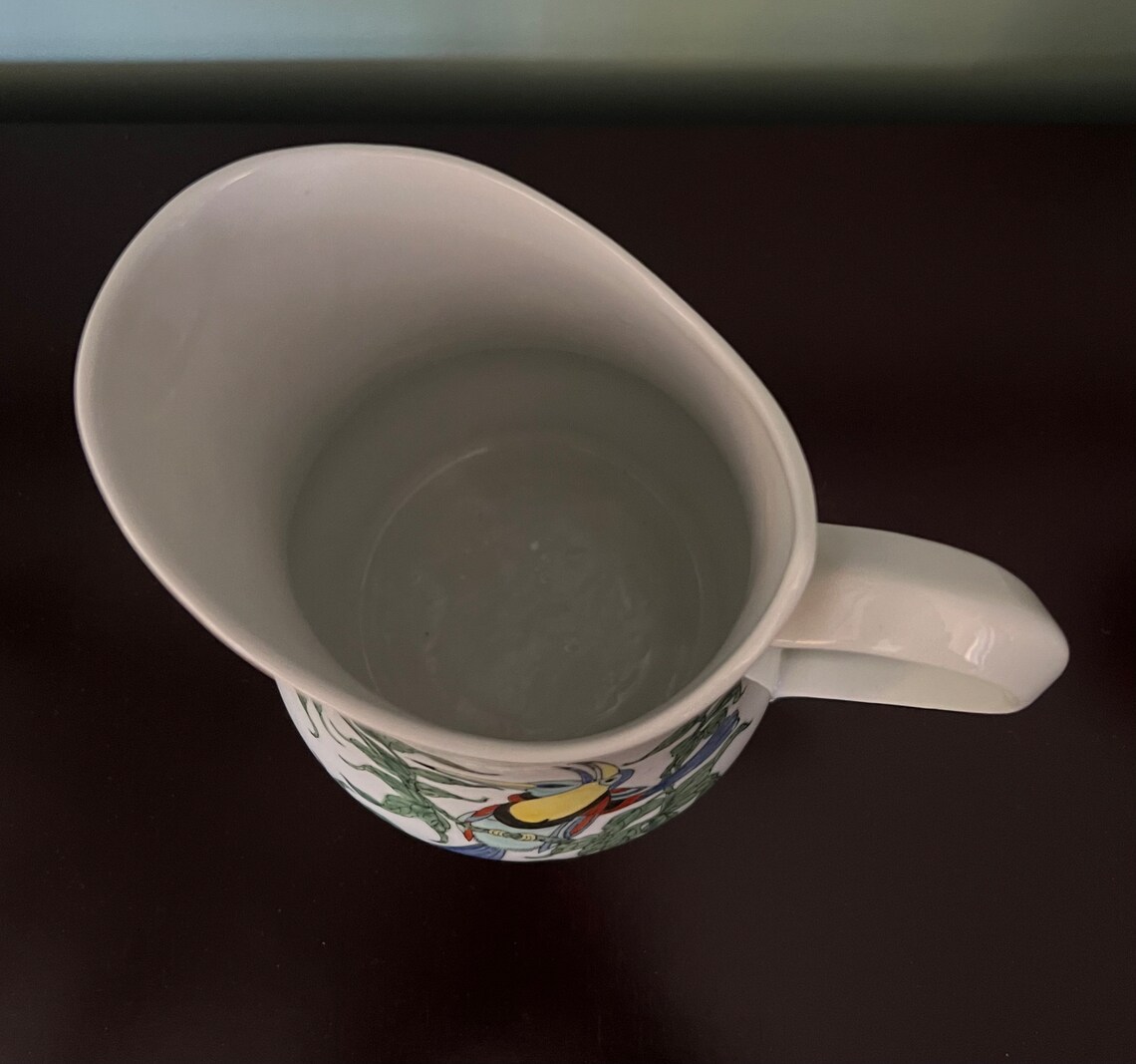 Rare Vintage Toucan Love Bird Water Pitcher - Etsy