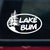 Got Bass Decal, Got Bass Sticker, Got Bass Vinyl Decal, Bass Player ...