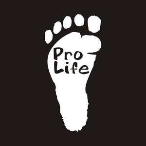 Pro Life Vinyl Decal, Pro Life Sticker, Pro Life Vinyl Sticker, Pro ...