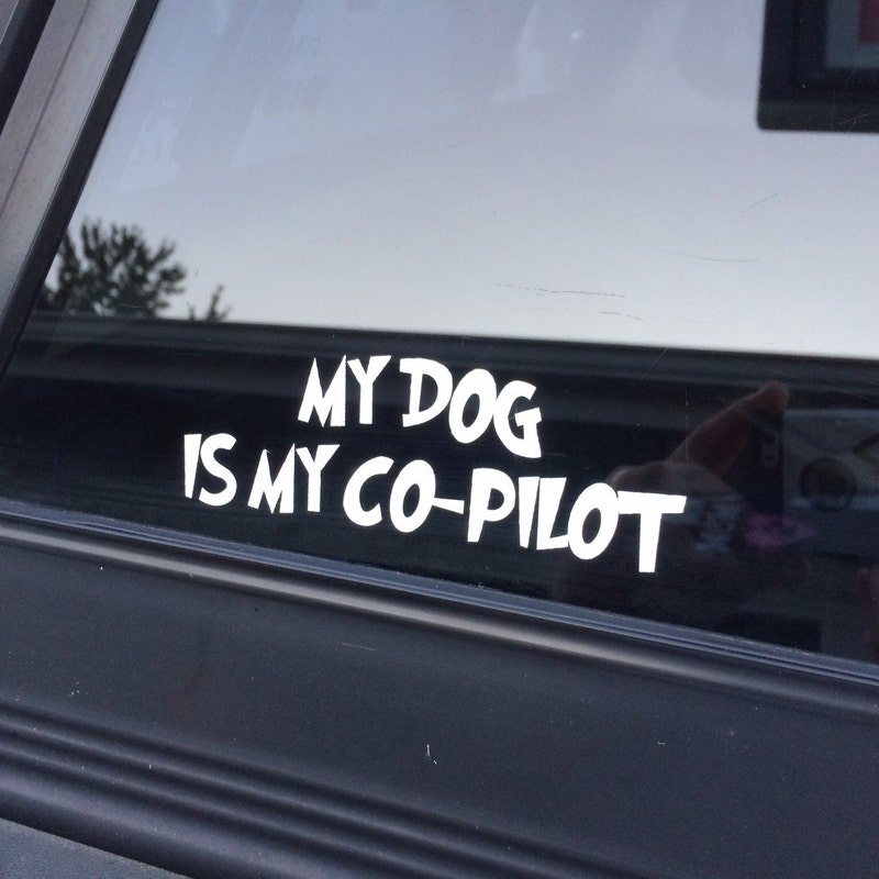 My Dog is My Copilot - Etsy
