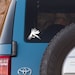 Fly Vinyl Decal, Fly Fishing Decal, Fly Fishing Vinyl Sticker, Fly ...