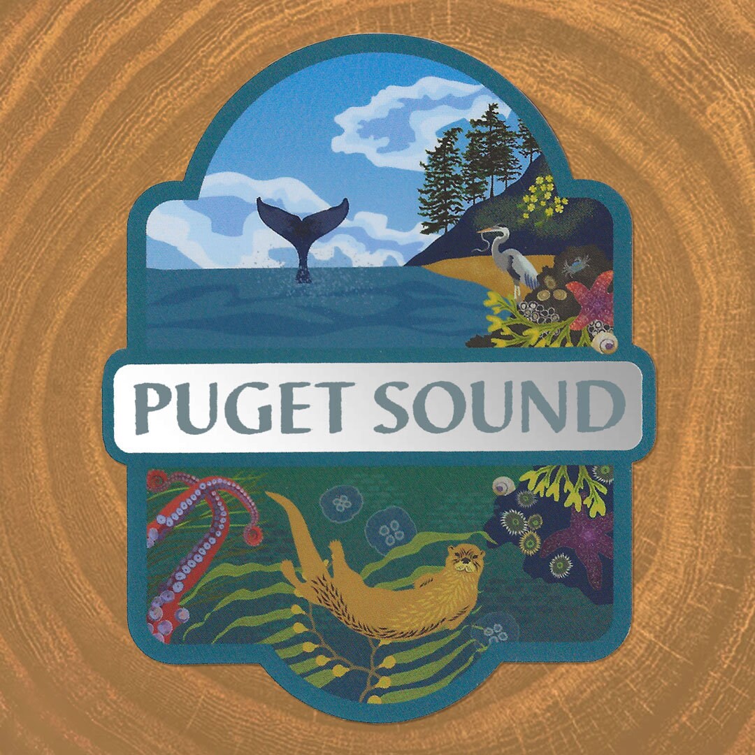 Puget Sound Matte Mirror Pvc-free Sticker - Etsy