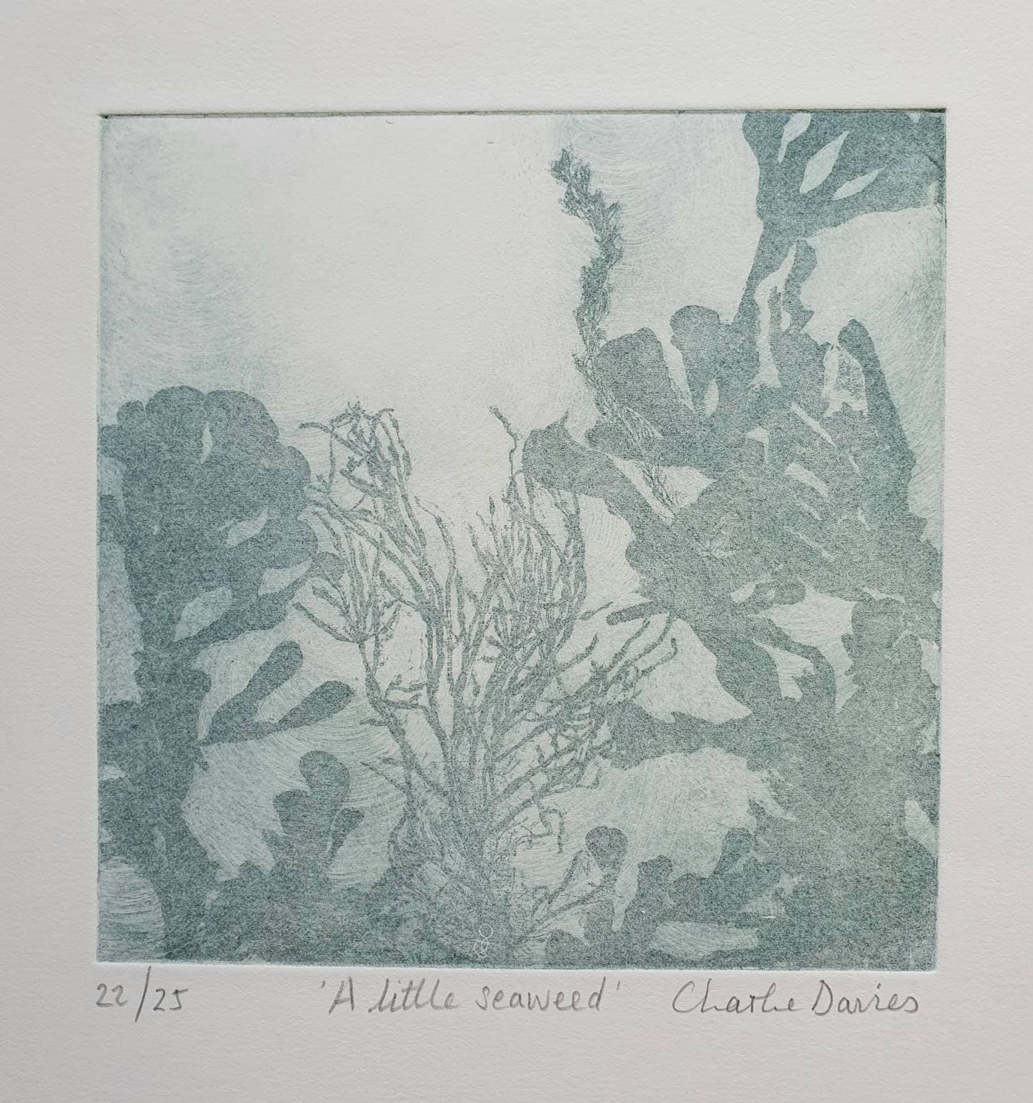 Seaweed Etching Print//under the Sea//fine Art Print//unframed - Etsy
