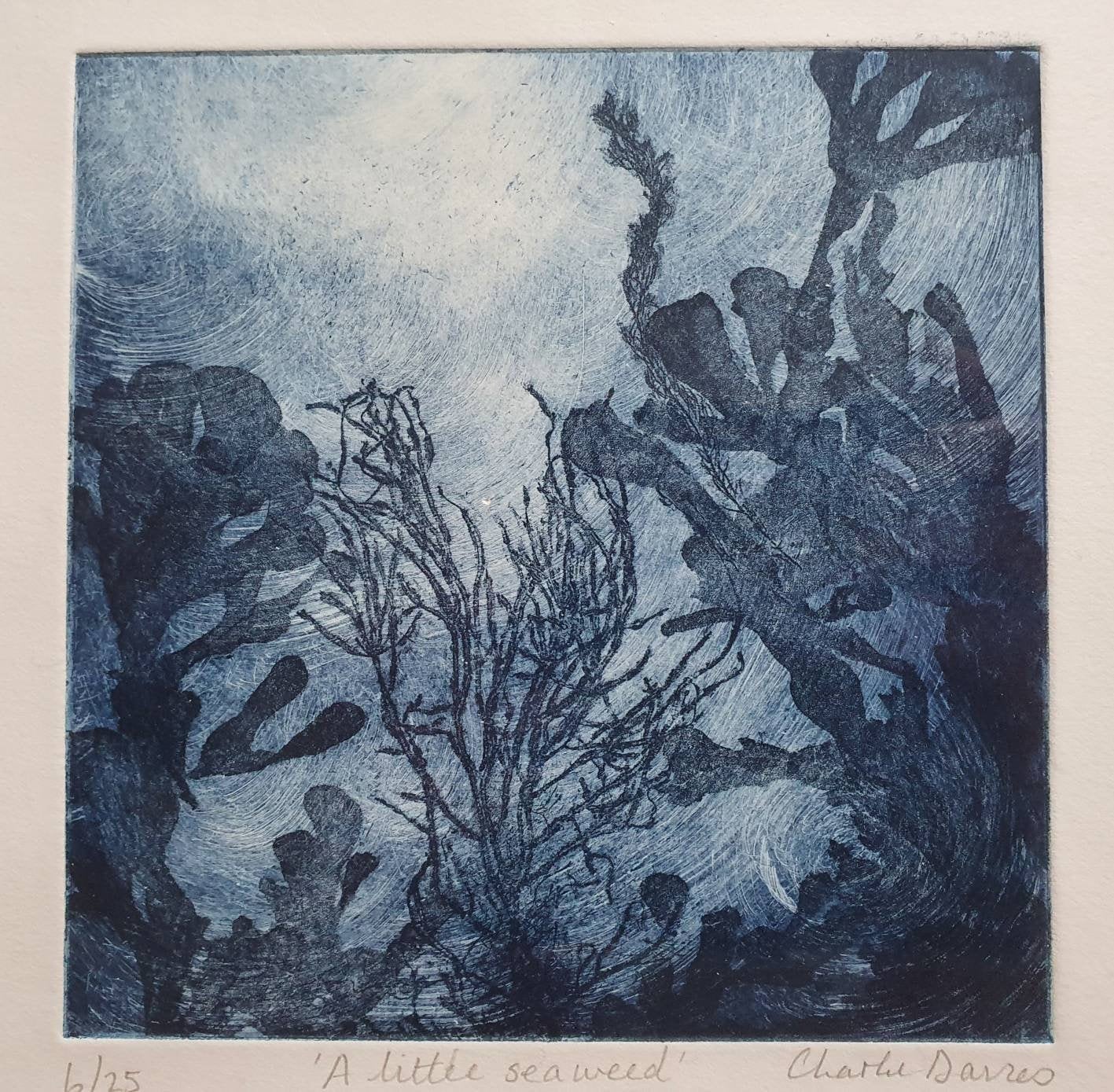 Seaweed Etching Print//under the Sea//fine Art Print//unframed - Etsy UK