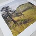 Wittenham Walks Print; High Quality Giclee Reproduction of My Original ...