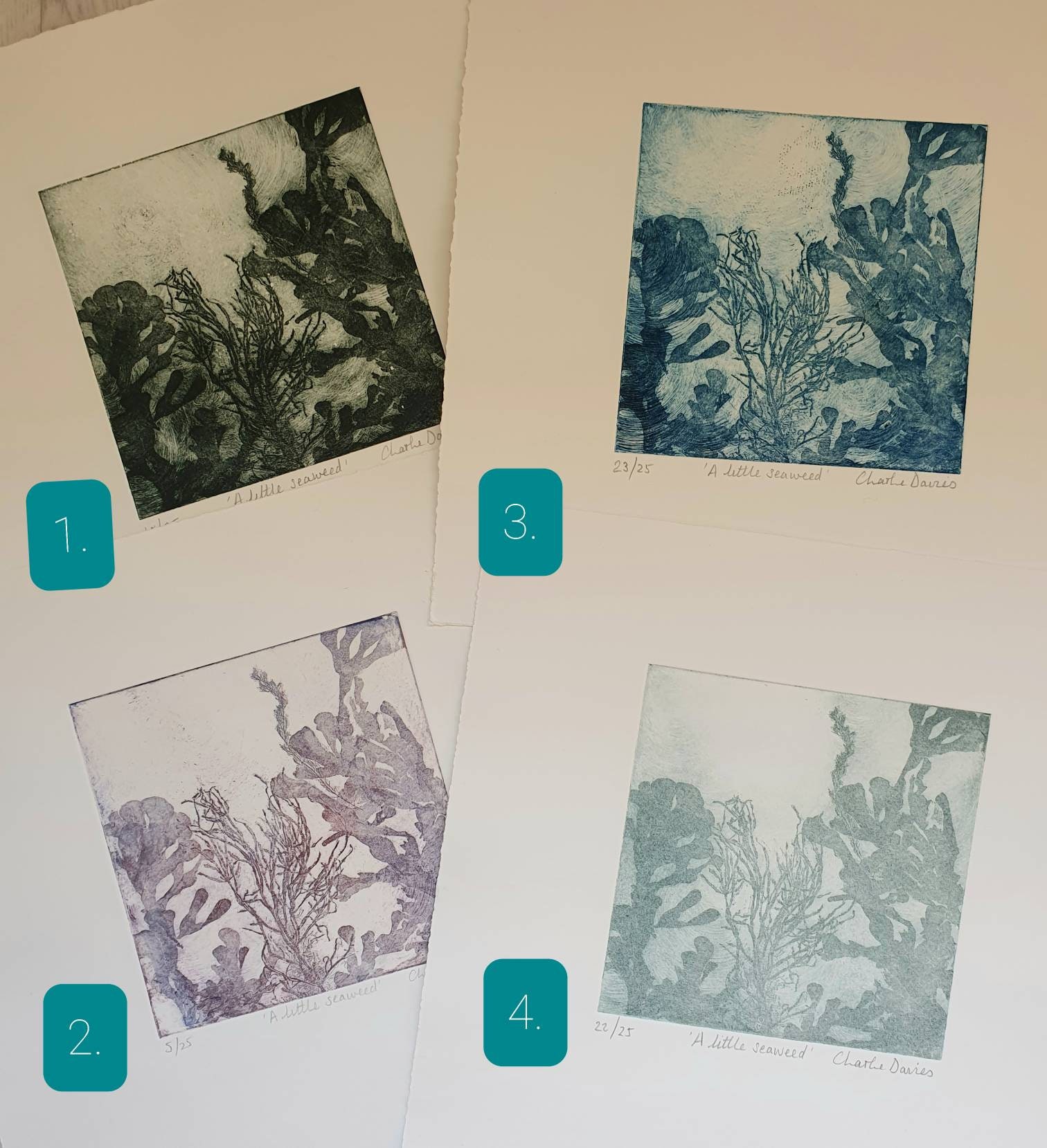 Seaweed Etching Print//under the Sea//fine Art Print//unframed - Etsy