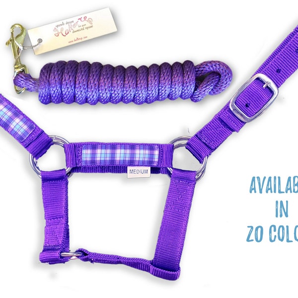 Riding on Donkey - Etsy