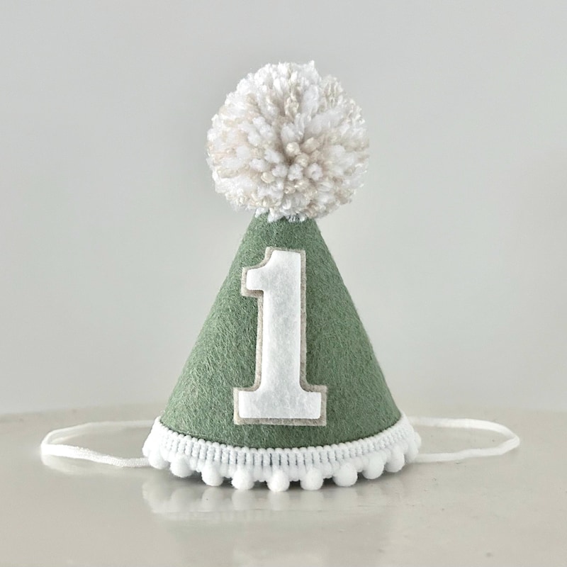 1st Boy Dog Birthday Hat - Etsy