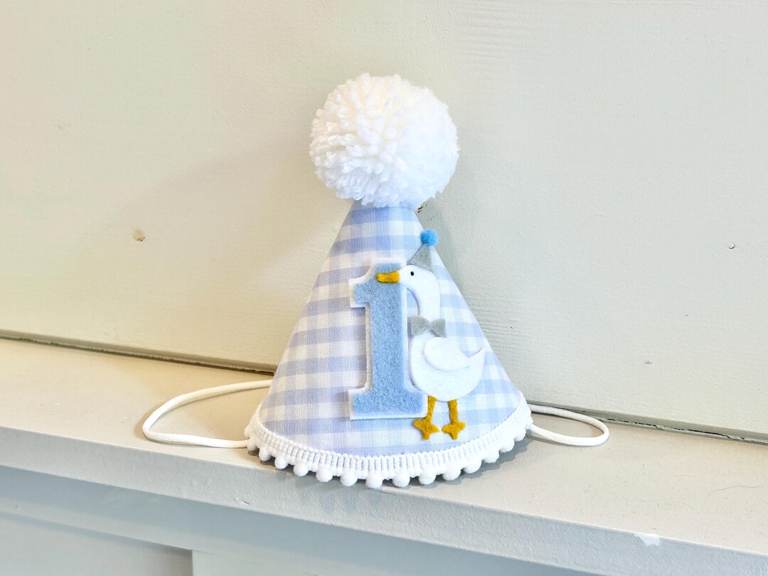 One Silly Goose Birthday Hat - Blue Gingham Party Hat - Silly Goose ...