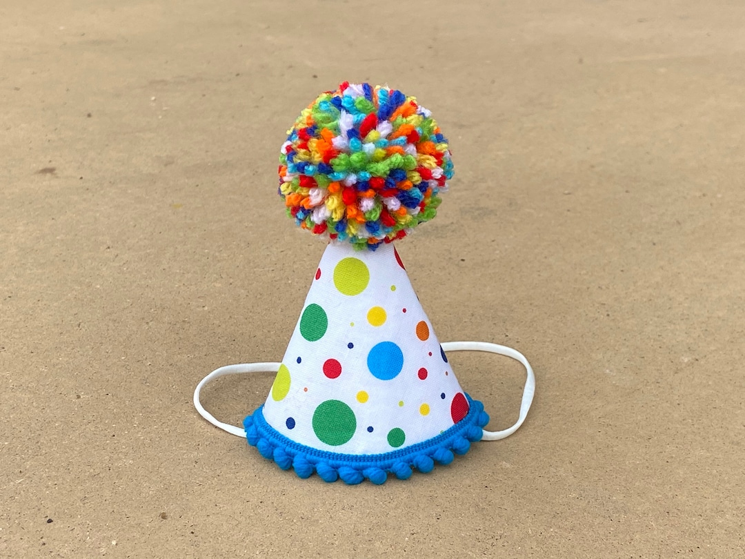 Birthday Party Hat- Boy First Birthday Hat-primary Colors Mini Party ...