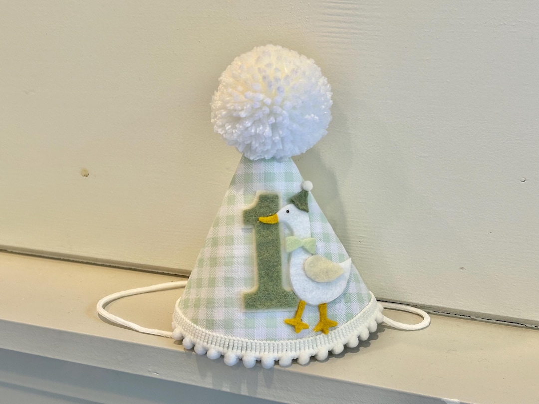 One Silly Goose Birthday Hat - Green Gingham Party Hat - Silly Goose ...