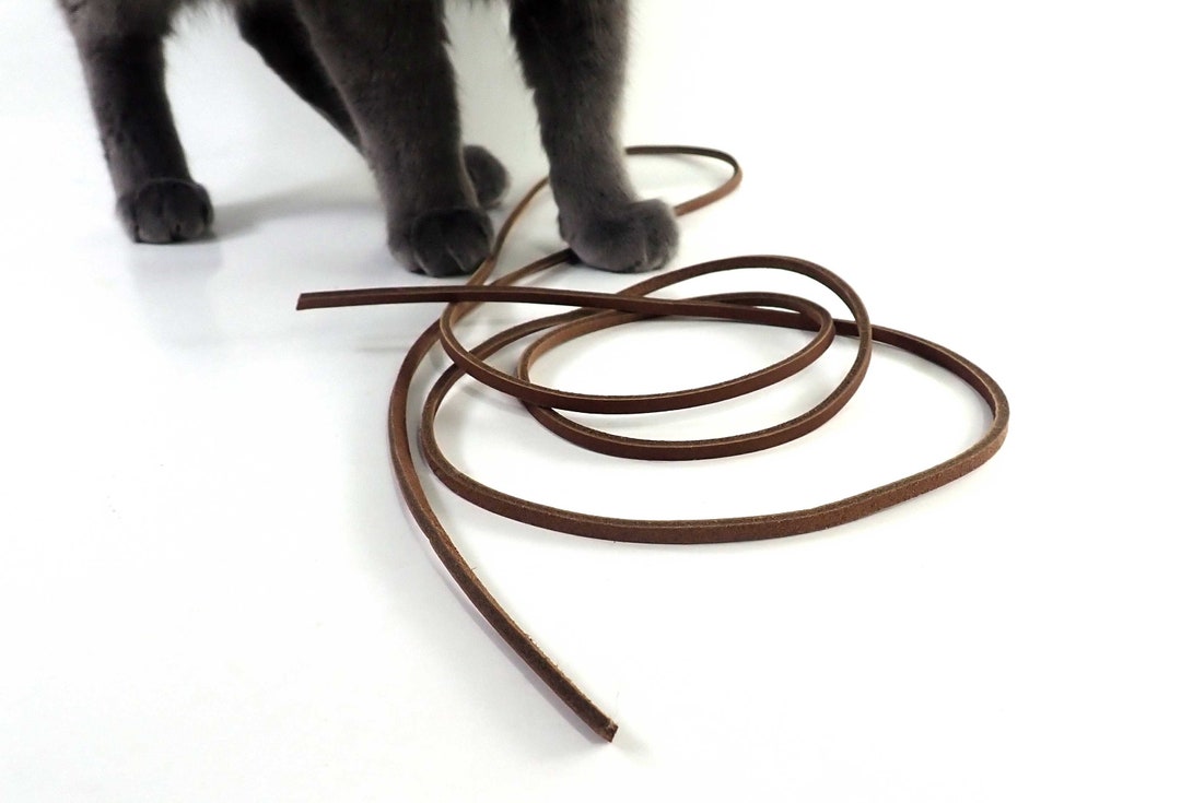 Leather String Cat Toy – Interactive & Simple Chase Fun - Etsy