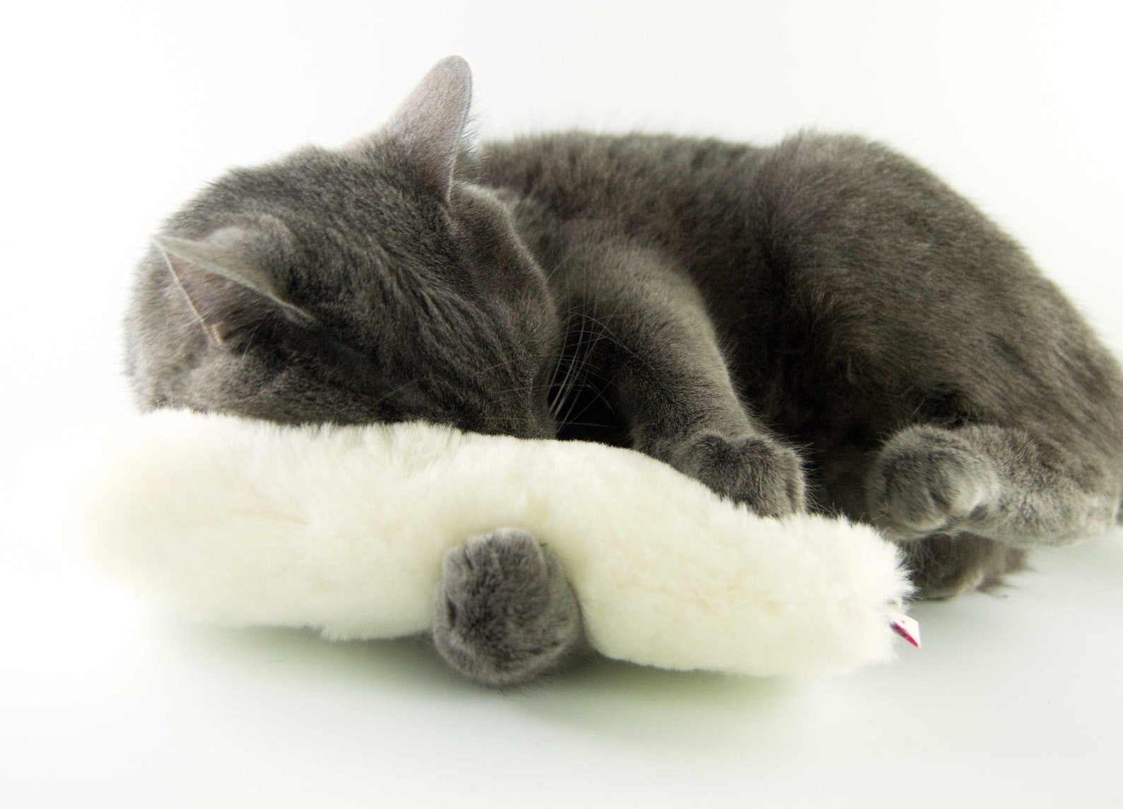 Cat Toys Cat Kicker Toy Cat Kicker Stick Kitty Kicker Kick - Etsy