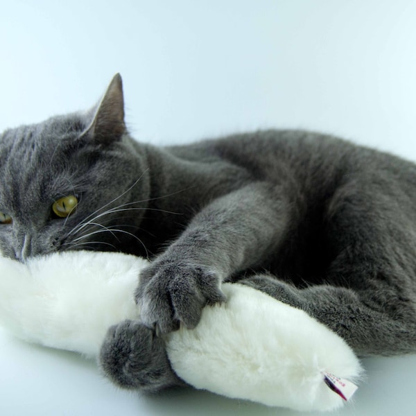 TheEcstaticCat - Etsy