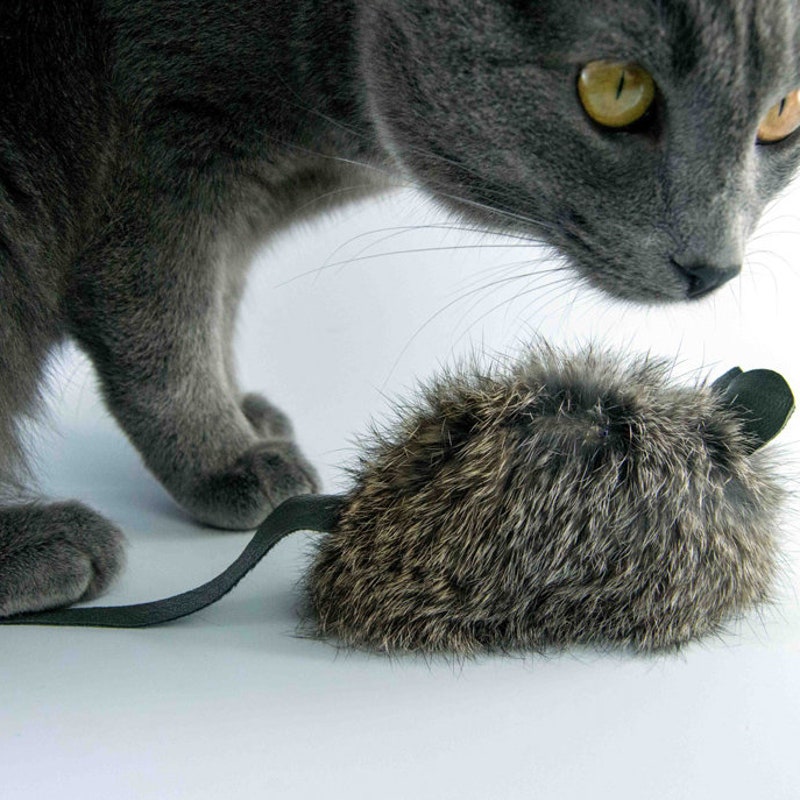 Rattle Mouse Toy Cat - Etsy