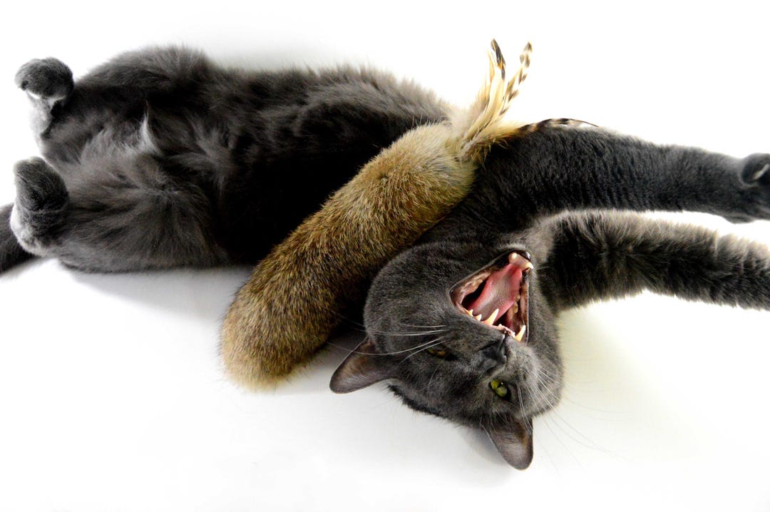 Cat Kicker Toy Rabbit Fur & Feathers – Bunny Kick Stick - Etsy