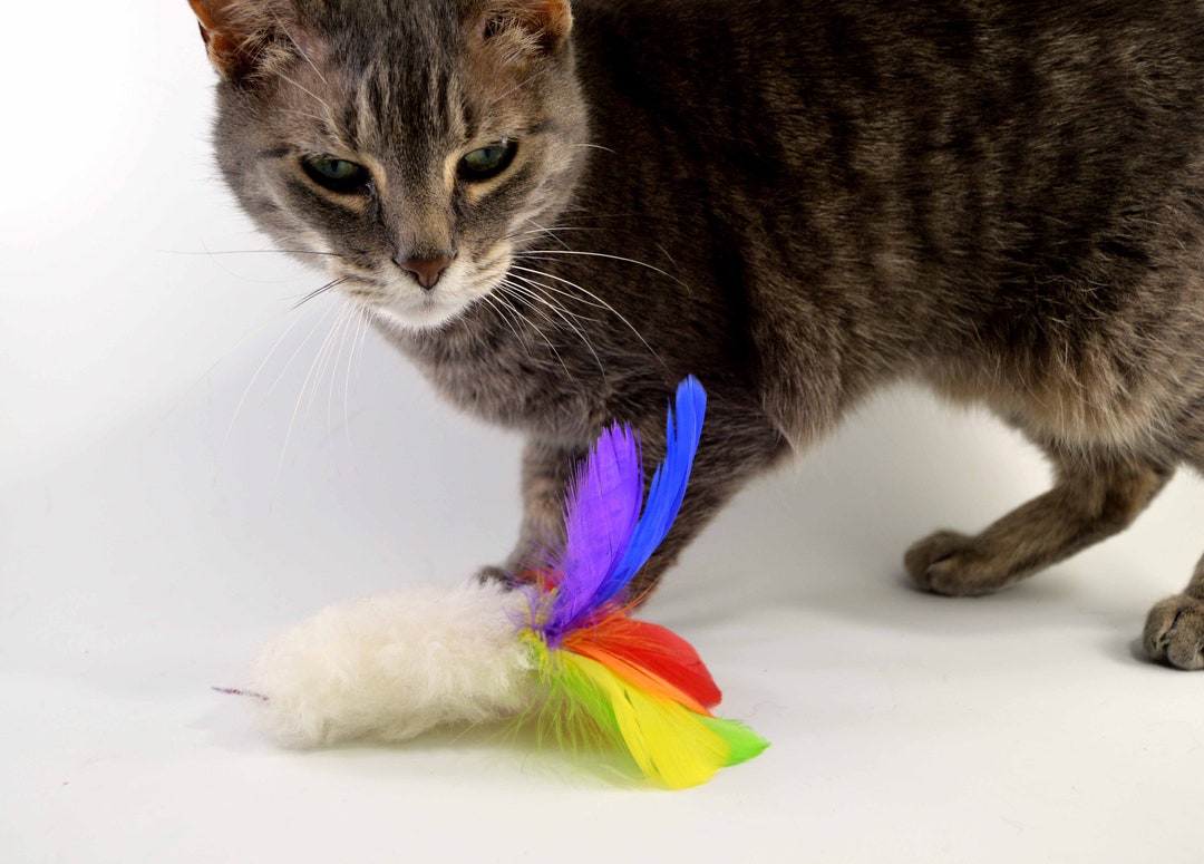 Flutter Stick, Feather Cat Toy, Sheepskin Fetch Toy, Sheepskin With ...