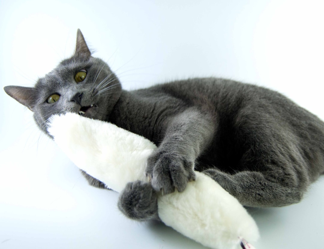 Cat Toys, Cat Kicker Toy, Cat Kicker Stick, Kitty Kicker, Kick Stick ...