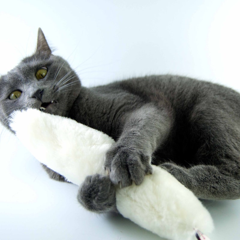 Large Cat Tree Unique - Etsy