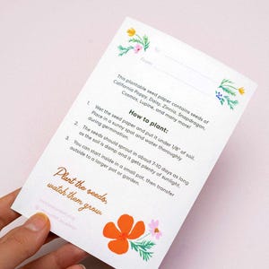 Plantable Graduation Card, Bloom Where You're Planted Seed Paper, Eco-friendly Graduation Gift ...