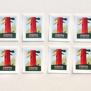 Sequoia Tree Sticker California Sequoia National Park Sticker Sequoia ...