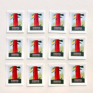 Sequoia Tree Sticker California Sequoia National Park Sticker Sequoia ...