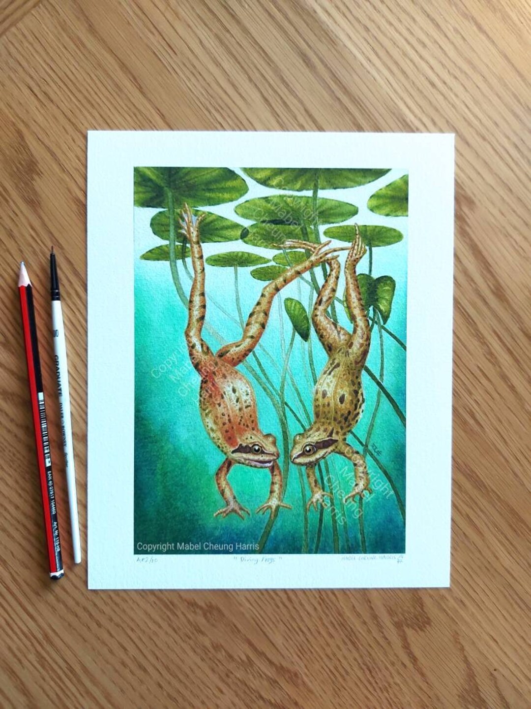 Giclee Print 10x8 Inch: Diving Frogs A5 Artists Proof of Limited ...