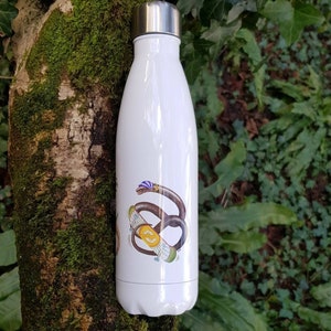 500ml Water Bottle "leaping Lizards!" Common Lizard, Sand Lizard & Slow ...