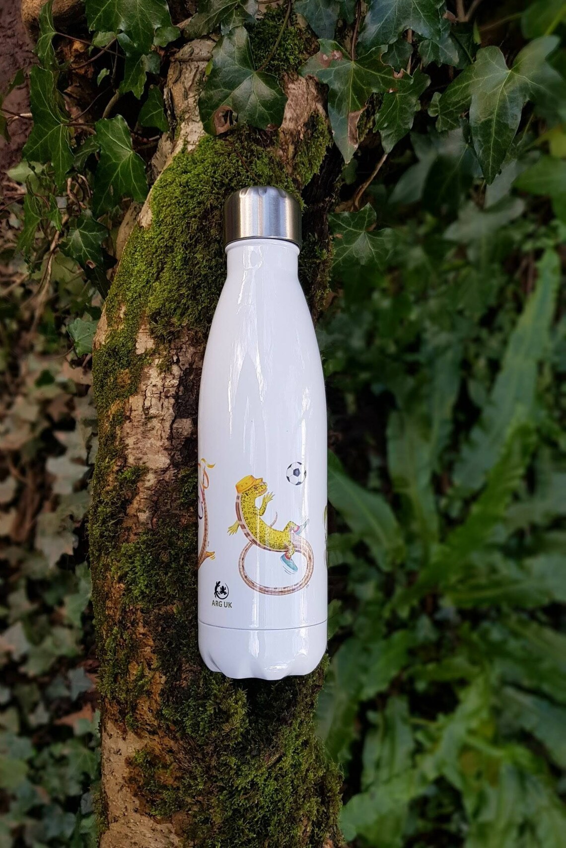 500ml Water Bottle leaping Lizards Common Lizard | Etsy