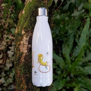 500ml Water Bottle "leaping Lizards!" Common Lizard, Sand Lizard & Slow ...