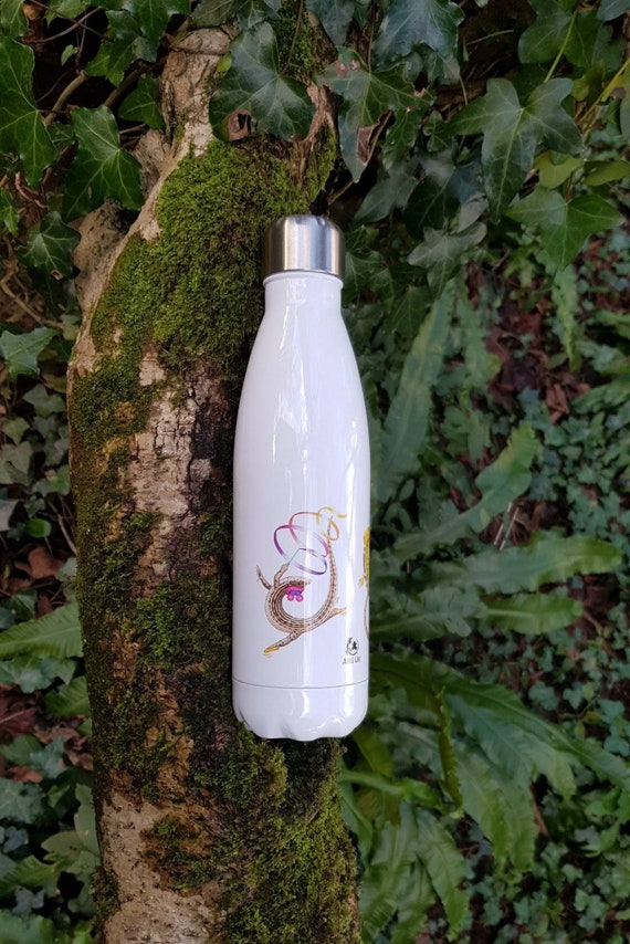 500ml Water Bottle leaping Lizards Common Lizard | Etsy