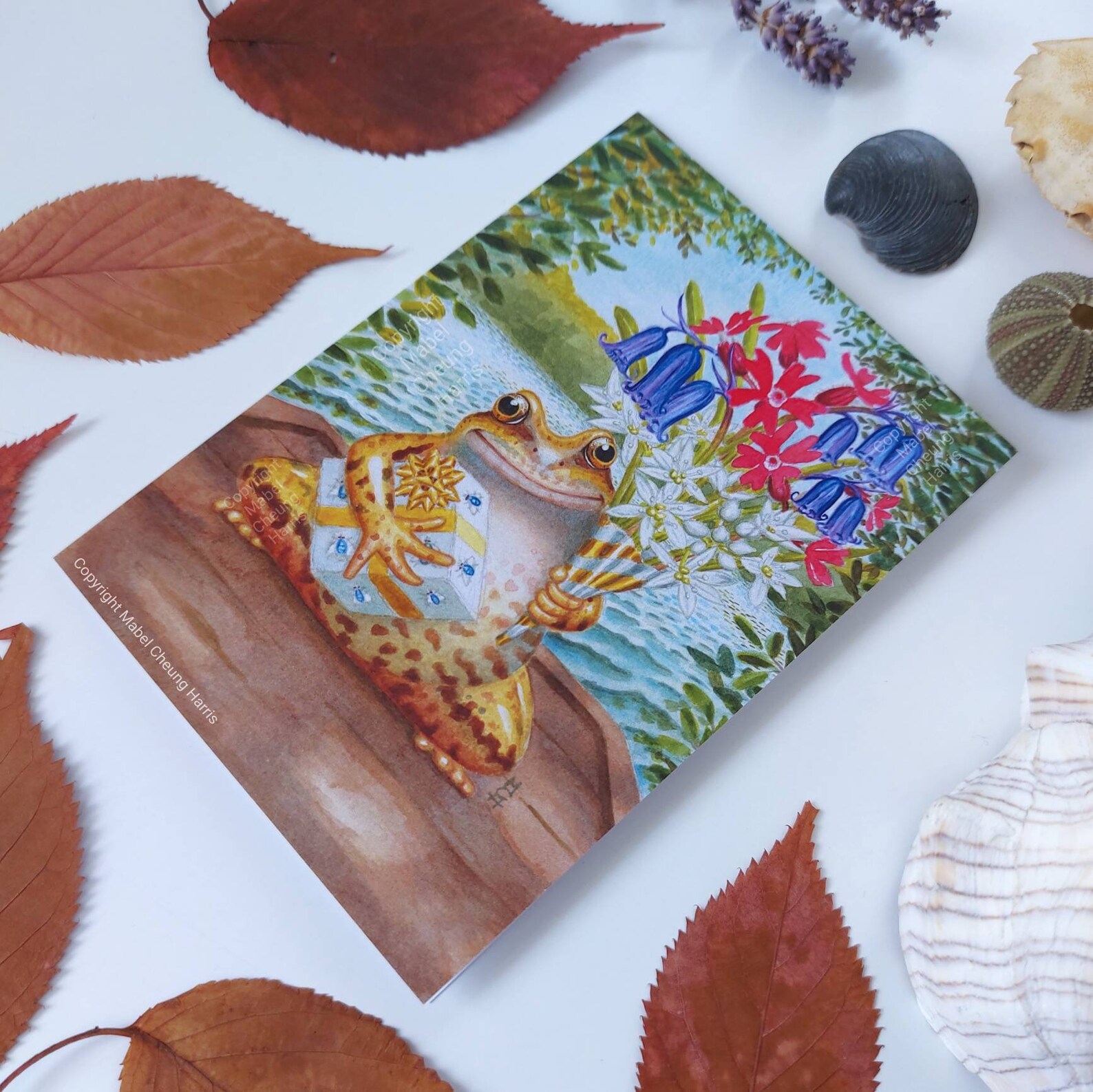 Greetings Card X3: Frog With Flowers and Snack Gift - Etsy