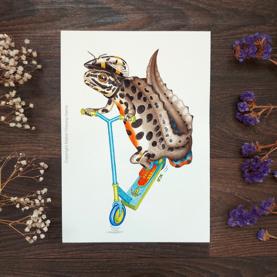 Original Painting A4: Stan Smooth Newt Scootering, Artwork for ...