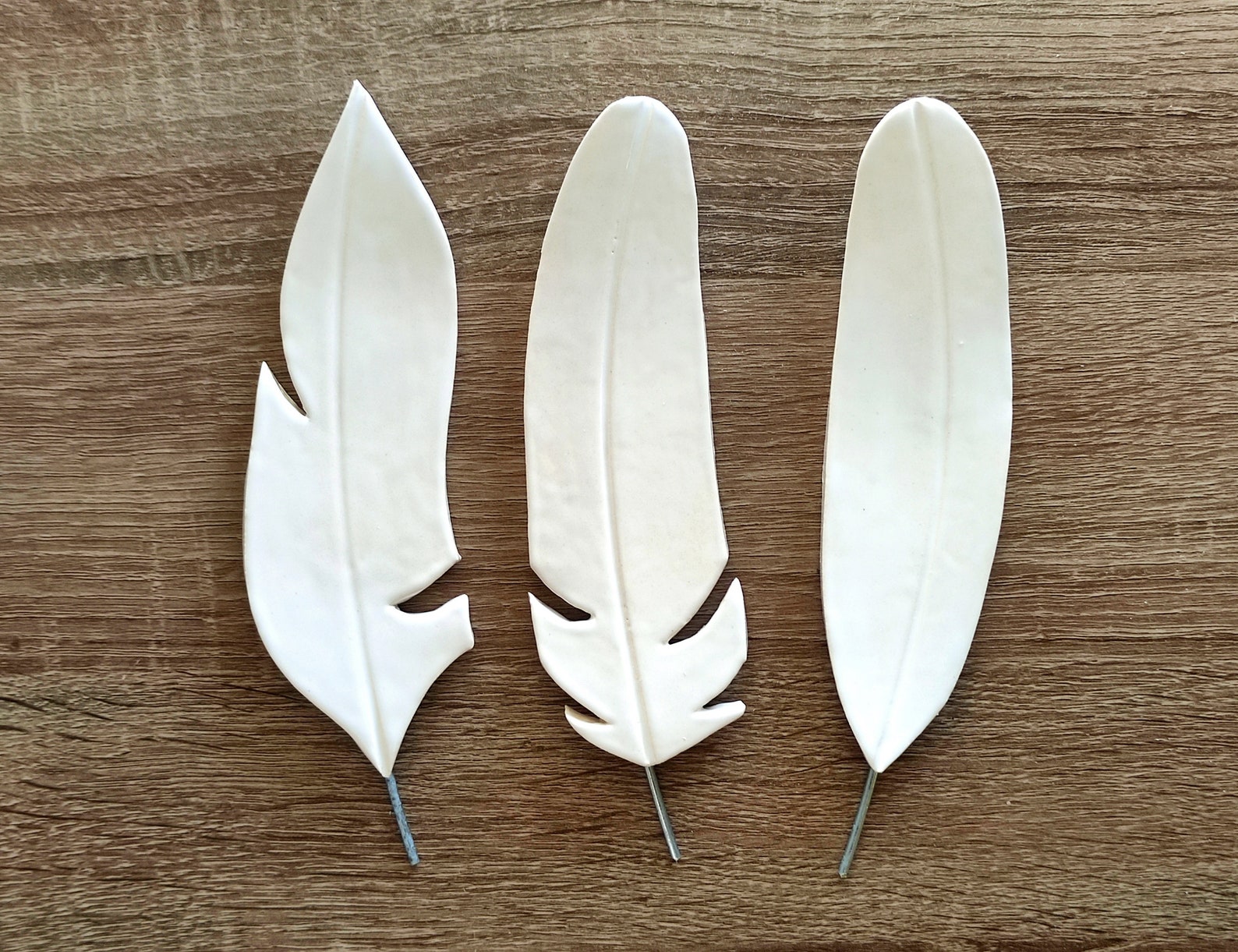 Feather Wall Art, Set of 3 Feathers Wall Decor, Wall Hanging , Blue Jay ...