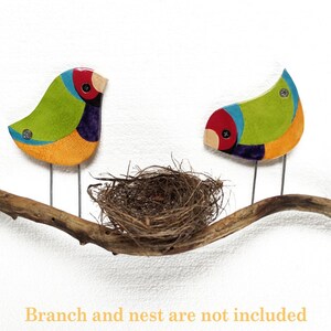 Gouldian Finch, Garden Decor, Bird Wall Decor, Finch Gift - Etsy