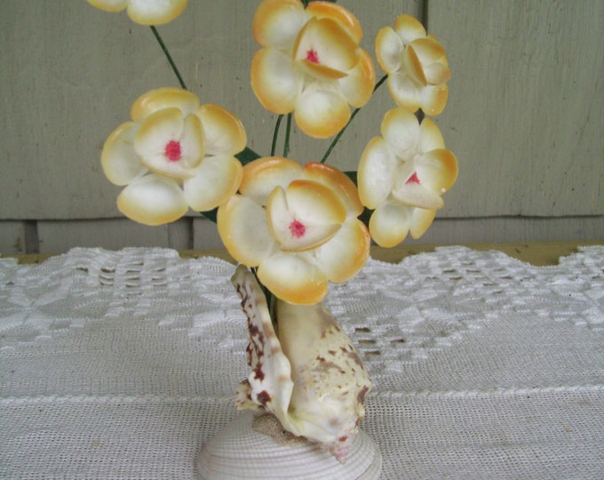 Vintage Real Seashells Bouquet of Flowers, Seashell Decor - Etsy