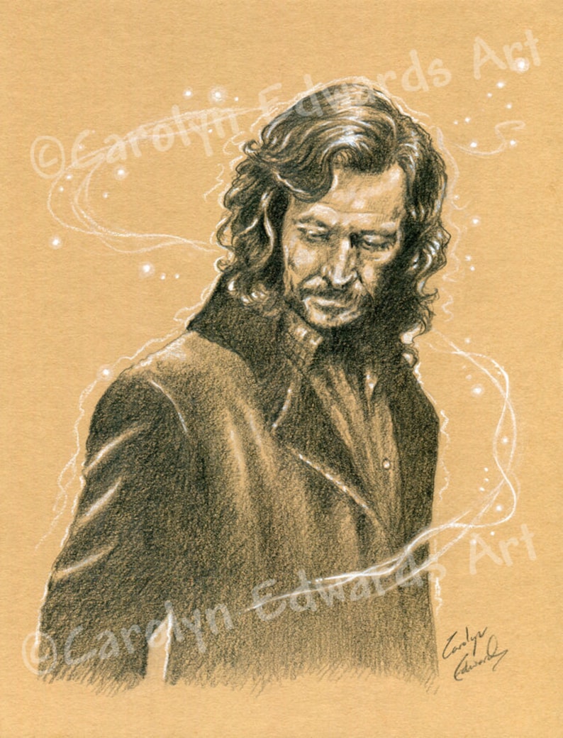 Sirius A4 Art Print 29.7 X 21cm - Etsy